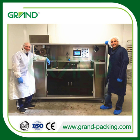 NSF-600 full automatic pharmaceutical liquid/hard capsule banding ...